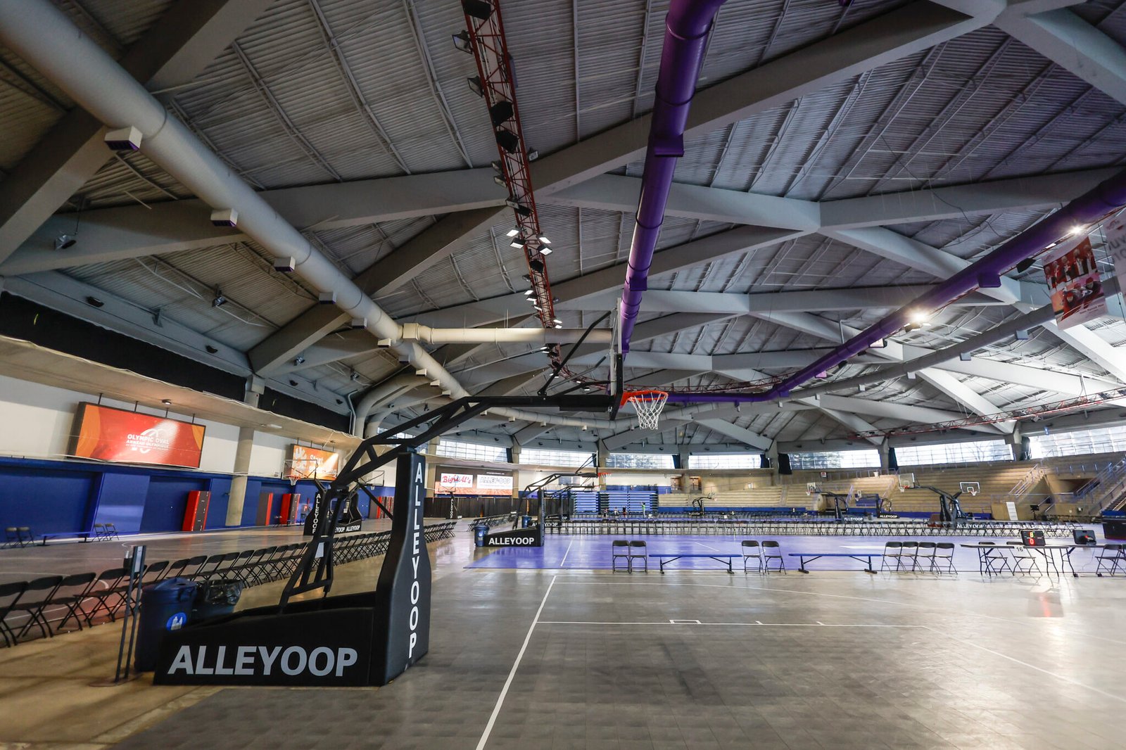 Gallery - alleyoopbasketball.com