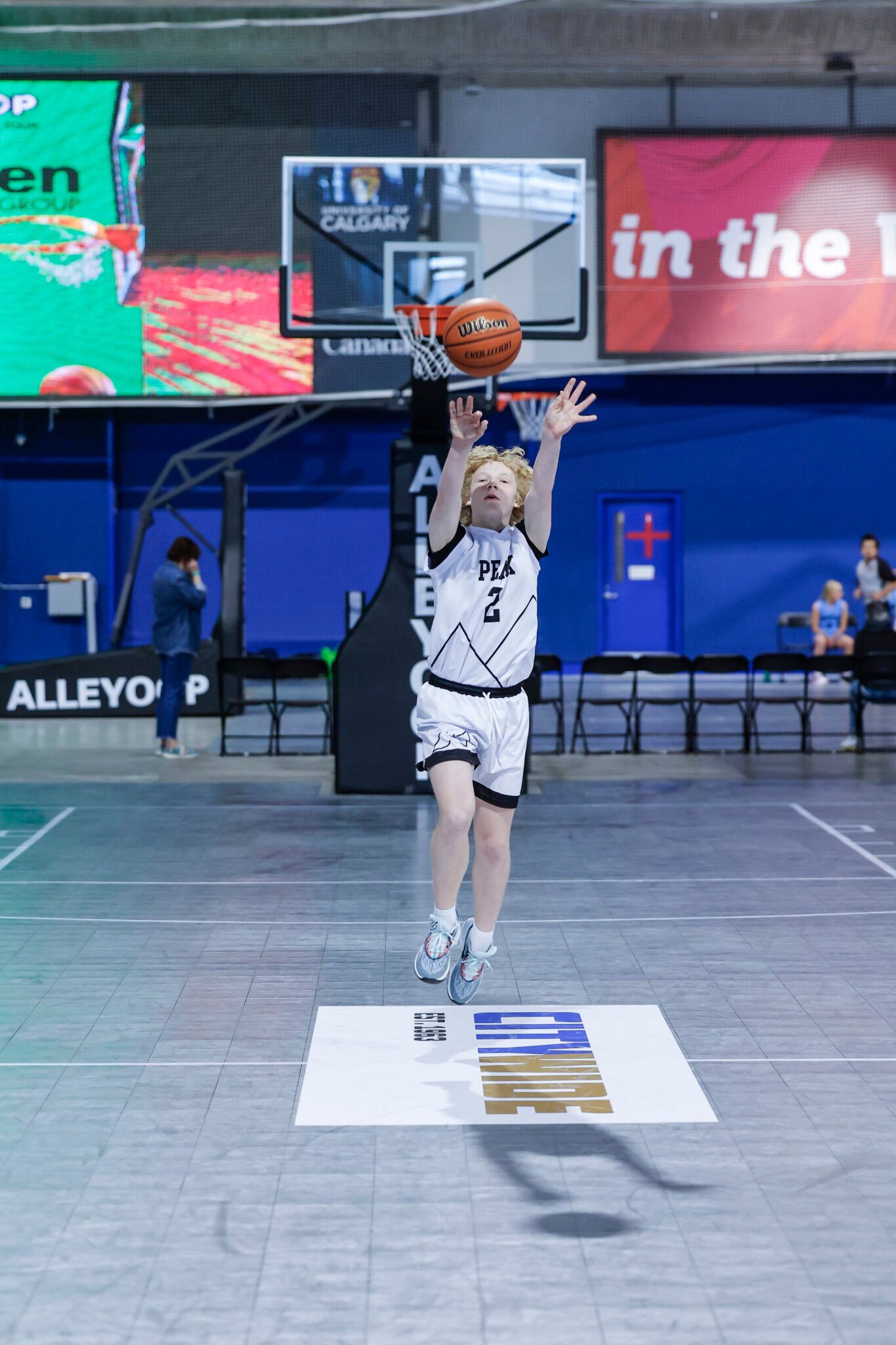 Gallery - alleyoopbasketball.com