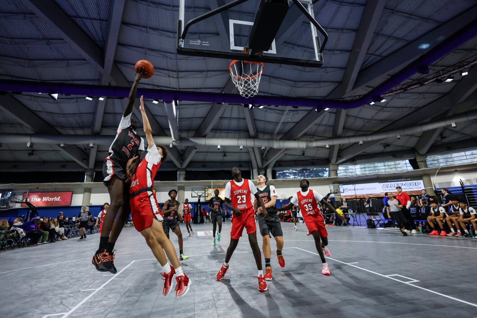 Home - alleyoopbasketball.com